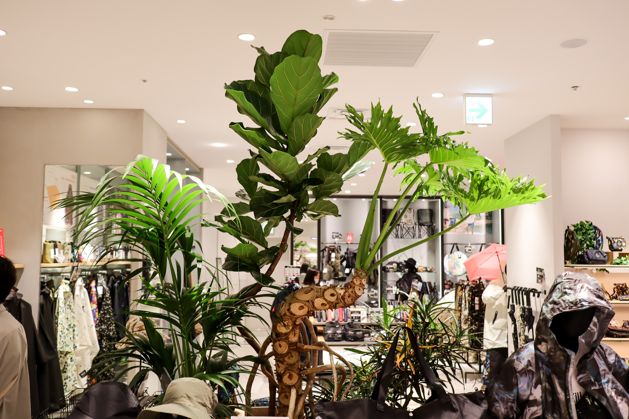 心斎橋パルコ POPUP SHOP（ワールドパーティーKiU様） | 株式会社 ヘッドウェイ